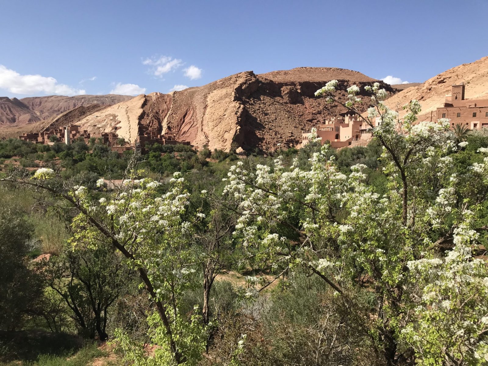 Gardens In Morocco • Culture & Environment • So Morocco